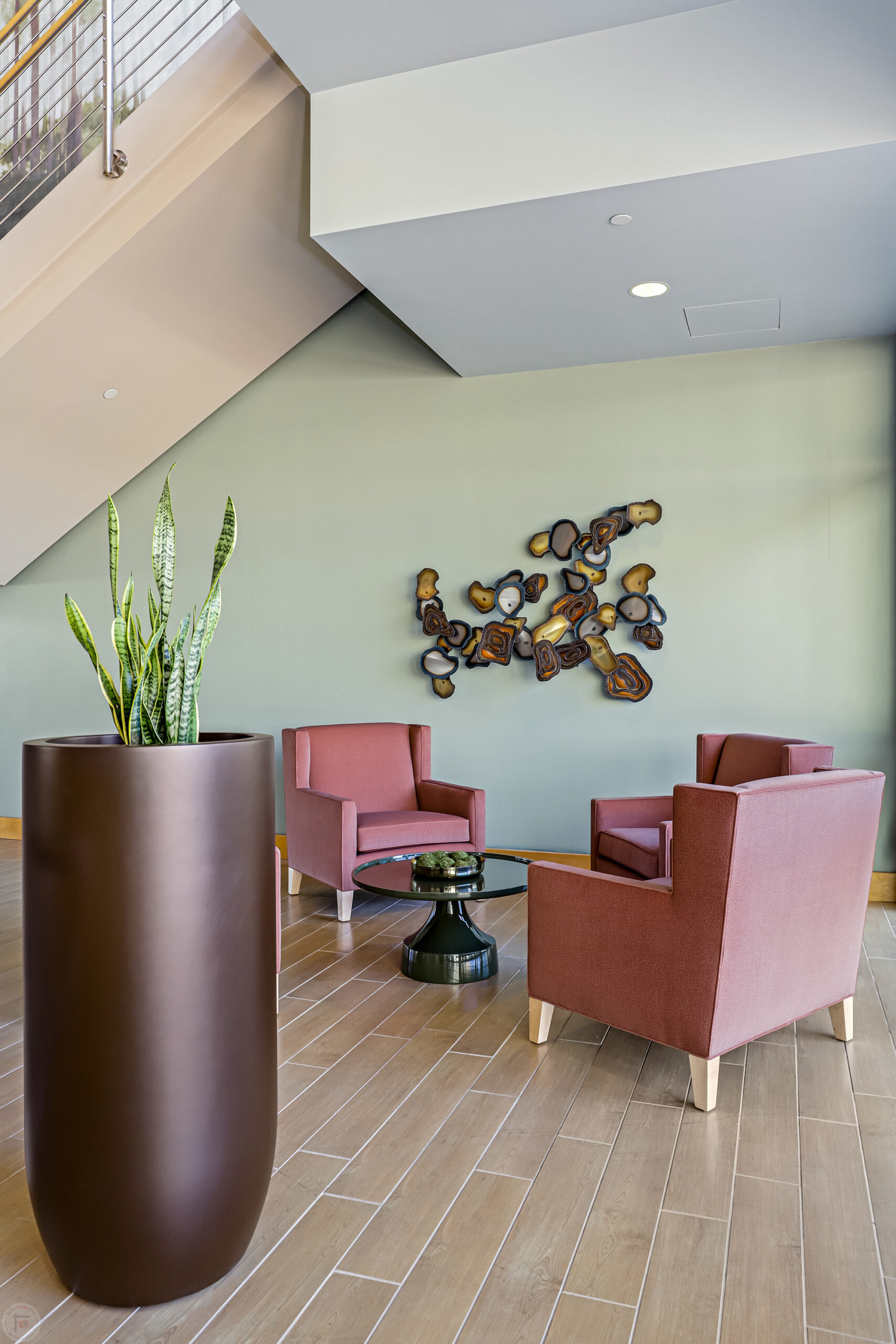 Case Study: Nature's Curved Elegance - A Modern and Nature-Inspired ...